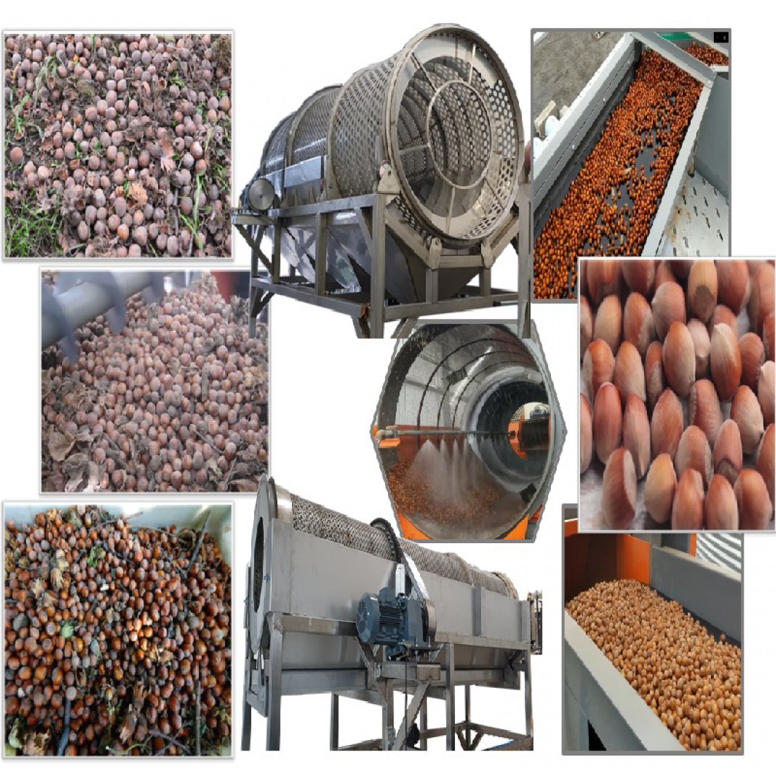 Hazelnut Cleaning & Washing Machines Line